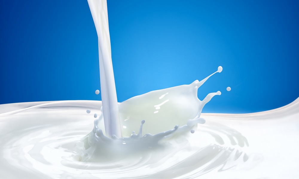 ¿Leche sí o leche no? Limita los lácteos para cuidar tu salud