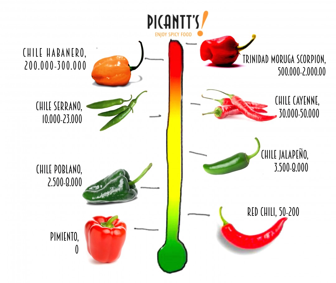 Beneficios de comer chile: todo lo que este alimento puede aportar