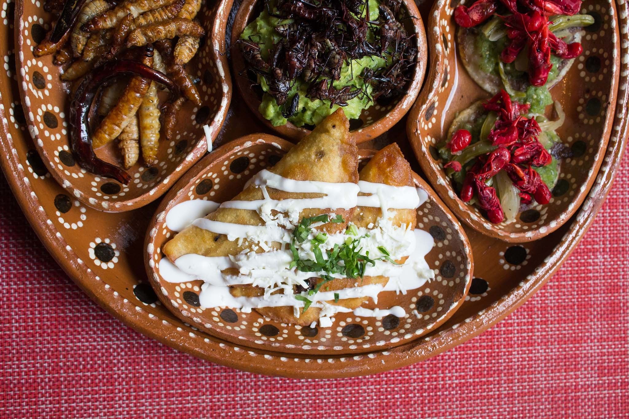 Comer insectos ¿Realmente es tan sano y es la comida del futuro?