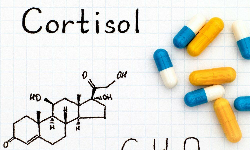 El cortisol: todo lo que debes saber sobre la hormona que no te deja ...